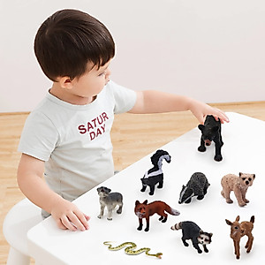 SIENON 18Pcs Forest Animals Figures Toys, Baby Woodland Animals Figurines, Miniature Animals Toys with Owl, Hedgehog, Fox, Squirrels, Bears, Monkey for Woodland Theme Cake Toppers Cupcake Toppers