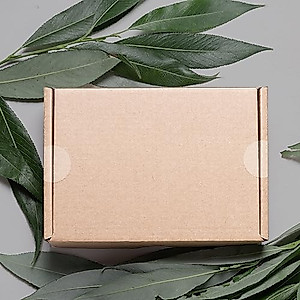 ChromaLabel 1 Inch Round Stickers, Library Supplies Sealing Stickers, Ideal Stickers to Seal Envelopes - 5000 Clear Label Stickers per Roll, Perforated Envelope Seal Stickers