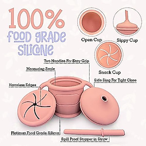 Silicone Baby Feeding Set, Baby Led Weaning Supplies with Suction Bowls for Baby, Toddler Self Feeding Dish Set with Silicone Silverware for Babies Sippy Cup, Feeding Supplies for 6+ Months(Pink)