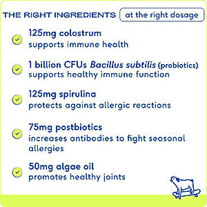 Native Pet Dog Allergy Chews – Natural Dog Skin Allergies Treatment – Anti Itch for Dogs Allergy Relief – Dog Probiotics for Itchy Skin - 60 Chews