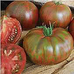 Pink Berkeley Tie Dye Tomato Seeds (20+ Seeds) | Non GMO | Vegetable Fruit Herb Flower Seeds for Planting | Home Garden Greenhouse Pack