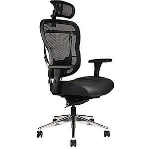 Oak Hollow Furniture Aloria Series Office Chair Ergonomic Executive Computer Chair, Genuine Leather Seat Cushion, Mesh Back, Adjustable Lumbar Support Swivel and Tilt High-Back (Black, Headrest)