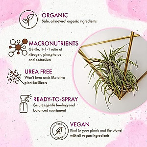 Organic Ready to Spray Air Plant Food - Fertilizer Mist for Weekly Use - Best for Live Tillandisa, Bromeliads, and Other Common Air Plants (8 oz)