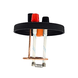 EISCO Joule's Calorimeter - for Determination of The Specific Heat Capacity of a Liquid - Electrical Method - 4" Tall