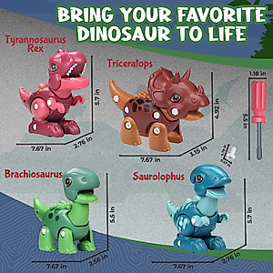 Smarkids Take Apart Dinosaur Toys (4-Pack) | Includes Safe Screwdriver & Screws | STEM Toys, Toddler Learning Toys, Building Toys, Tools for Kids | Educational Toys for 3+ Year Old Boys & Girls