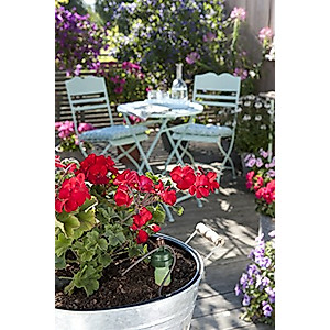 Blumat Automatic Watering System for 5 Plants (Starter Kit)| Fully Automatic Drip Irrigation Kit | No electricity, No Batteries required | Garden, Patio, Hanging Baskets, Raised Bed, Greenhouse | Sustainable Outdoor System