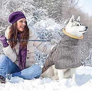 ROZKITCH Dog Coat Winter Jacket Reflective Cold Weather Fleece Coats Vest, Pet Thick Warm Windproof High Collar Clothes Outfits for Small Medium Large Dogs, British Plaid Dog Apparel with Leash Hole