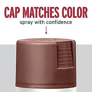 Rust-Oleum 214085 Stops Rust Spray Paint, 12 oz, Flat Brown