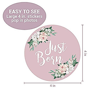 Baby Monthly Stickers | Floral Baby Milestone Stickers | Newborn Girl Stickers | Month Stickers for Baby Girl | Baby Girl Stickers | Newborn Monthly Milestone Stickers (Set of 24)