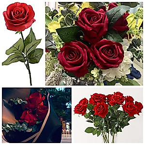 LG LOUIS GARDEN Red Rose Artificial Flowers, Beauty and The Beast Rose Kit, Single Red Rose for Mother's Day Home Decor Centerpieces Party Wedding Anniversary Decorations