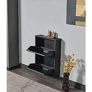 Alveon Flip Drawer Shoe Cabinet, Storage Organizer, Freestanding Shoe Rack, Wall Mounted No-Assembly (Black, 2 Drawer)