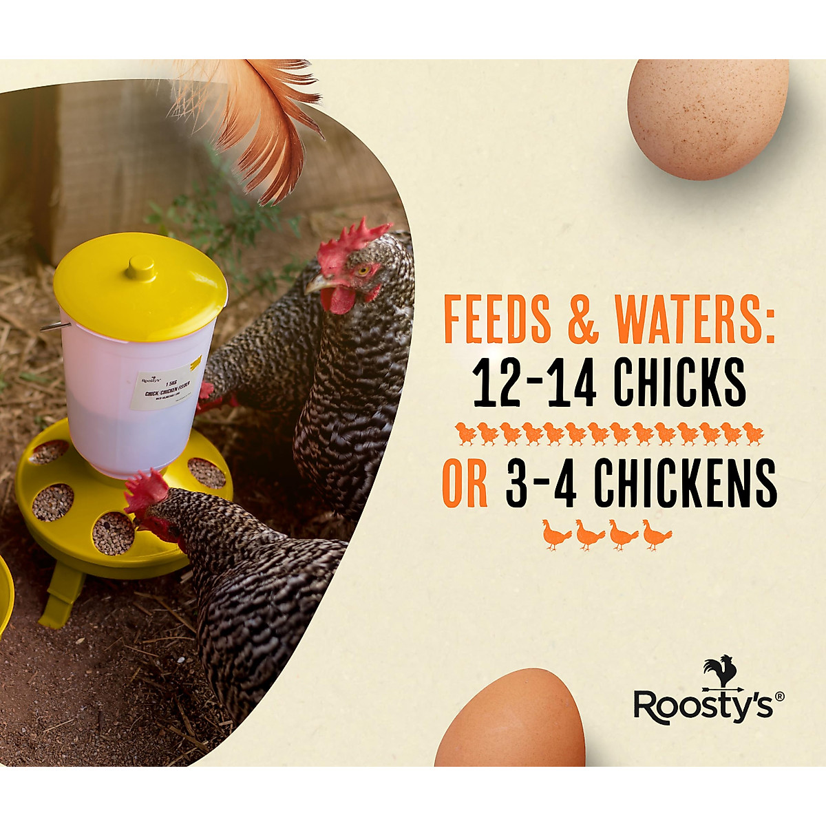 Roosty's - Top Fill Chicken Feeder and Waterer - 1.5KG/1.5L | Hanging, Small, Duck & Quail Feeder & Waterer | Chicken Supplies