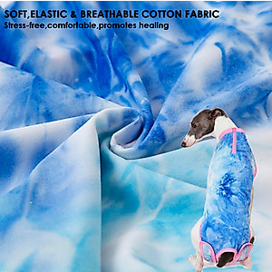 Wabdhaly Dog Surgery Recovery Suit for Small Female Spay,Anti Licking Dog Surgical Recovery Onesie,Tie Dye Blue Pink XS