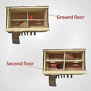 Beaks And Paws B&P Wooden Hamster House Hideout, Hamster Toys for Gerbils, Guinea Pigs, Dwarf Hamster, Small Animal，with Ladders Bridge