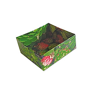 Origami Paper 500 sheets Succulents 6" (15 cm): Tuttle Origami Paper: Double-Sided Origami Sheets with 12 Different Photographs (Instructions for 6 Projects Included)