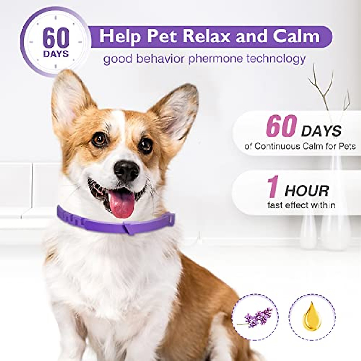 Dogs Calming Pheromones Collar 3 Packs Lasts 60 Days Relieve Reduce Anxiety or Stress 25 Inches Adjustable Relaxing Comfortable Collar Breakaway Design for All Small Medium and Large Dog