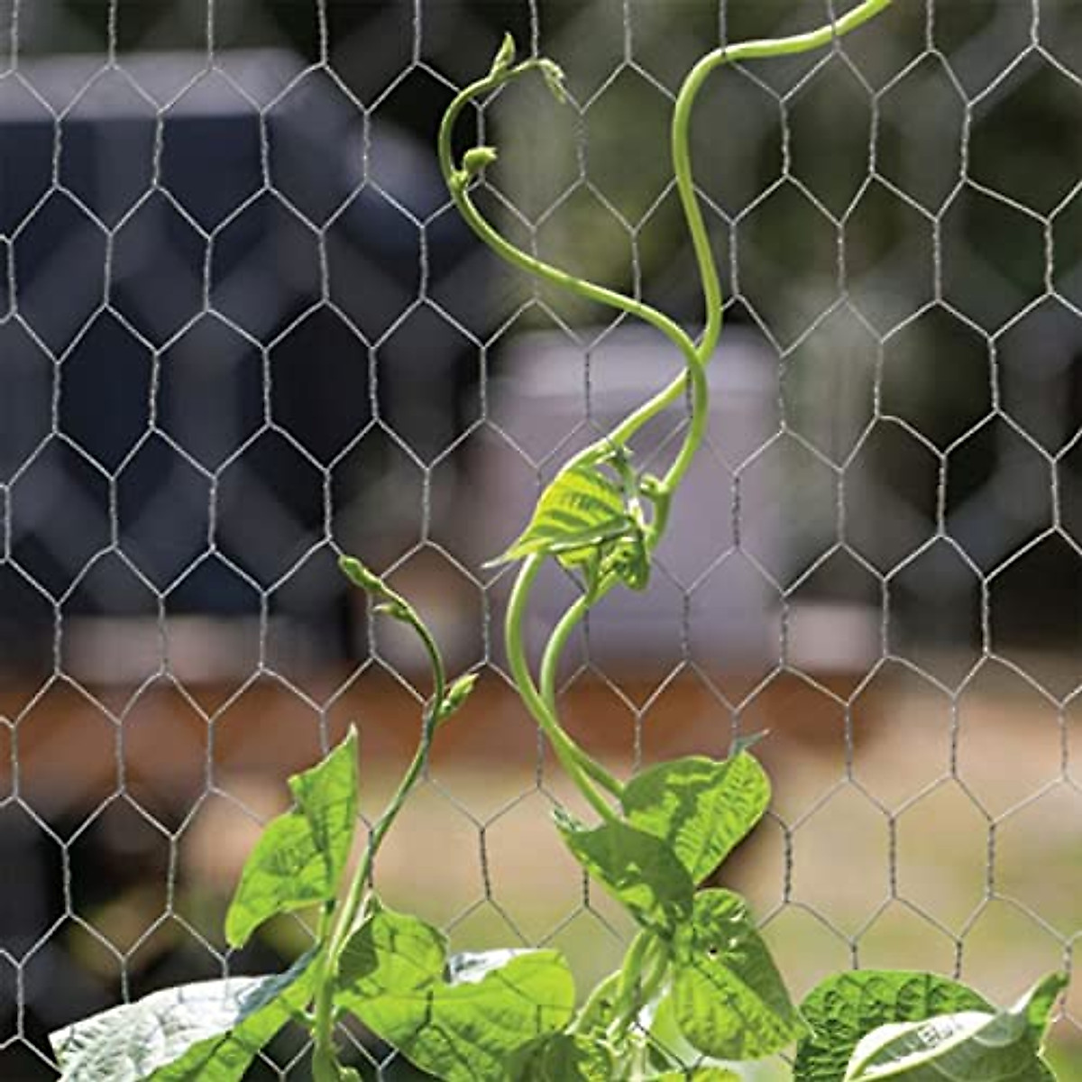 Galvanized Poultry Netting, 24-In. x 50-Ft.