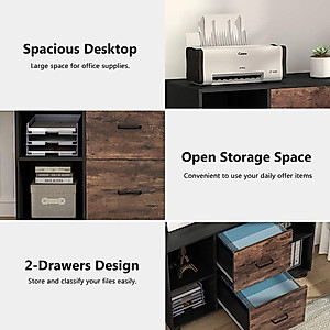 Tribesigns 2 Drawer File Cabinet, Large Mobile Lateral Filing Cabinet for Letter Size, Printer Stand with Storage Shelves and Rolling Wheels for Home Office (Black/Rustic)