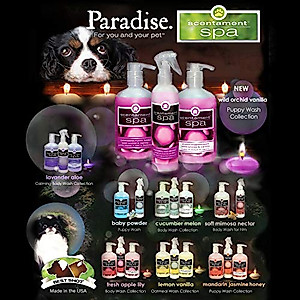 Best Shot Scentament Spa Botanical Body Splash, Detangler Spray, Body Spray for Pets, Cat and Dog Cologne Spray, Lemon Vanilla, 8 Oz.