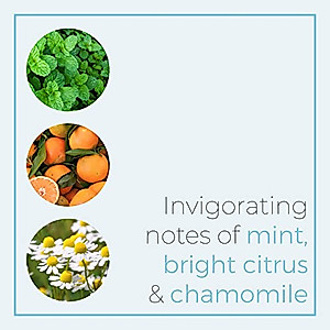 Clarity | Non-Toxic Aromatherapy Candle for Focusing, Work, Study | Citrus, Mint, Jasmine, Pear | Positive Energy Scented Candle Hand Made in USA | Productivity, Spiritual, or Meditation Gift