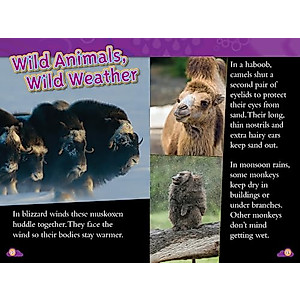 Storms (National Geographic Kids Explore! Readers, Level 1) (National Geographic Kids Readers)