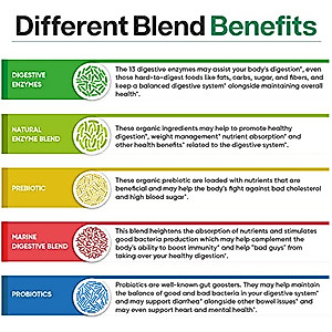 Wholesome Wellness Digestive Enzymes 1000MG Plus Prebiotics & Probiotics Supplement, 180 Capsules, Organic Plant-Based Vegan Formula for Digestion & Lactose with Amylase & Bromelain,1-2 Month Supply