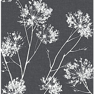 NextWall One O'Clocks Botanical Peel and Stick Wallpaper (Charcoal)