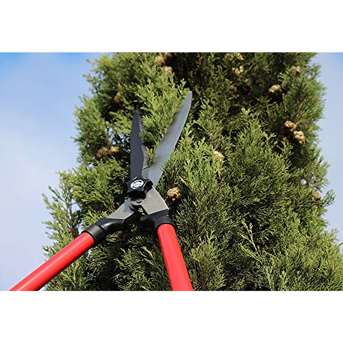 TABOR TOOLS B212A Telescopic Hedge Shears with Wavy Blade and Extendable Steel Handles. Extendable Manual Hedge Clippers for Trimming Borders, Boxwood, and Tall Bushes.