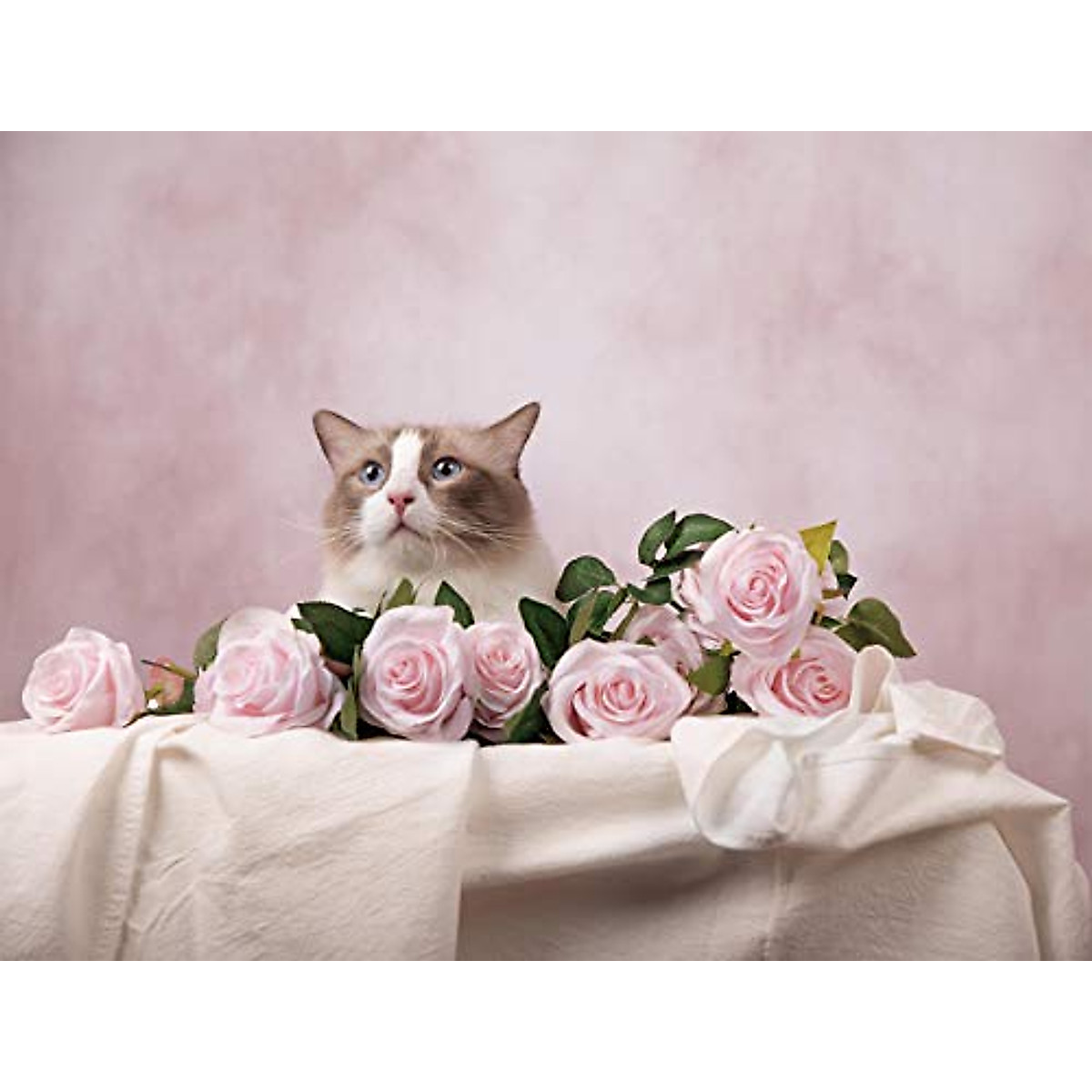 Kate 5x7ft Retro Portrait Backdrop Abstract Pink Backdrops for Valentine's Day Photography Studio Backgrounds