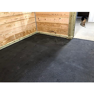 Tru-Stall 1 Piece 3/4" Thick Rubber Mat - 14' x 14' - Horse Stall Mat, Extra-Large Seamless Rubber Mat, One Piece Rubber Flooring for Horses, Stalls, Gyms, Garages, Barns, and More