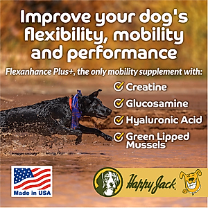 Happy Jack Flexenhance Dog Hip and Joint Supplement with Skin & Coat Support Plus (80 Chewable Tabs), Improve Flexibility & Mobility, Glucosamine, Green Lipped Mussel, Fish Oil