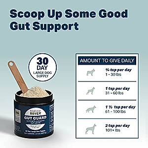 Four Leaf Rover: Gut Guard - Dog Probiotics, Prebiotics and Organic Herbs for Gut Health and Immune Support - 15 to 60 Day Supply, Depending on Dog’s Weight - Vet Formulated