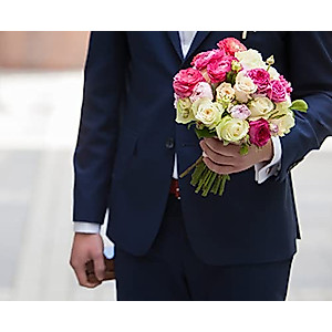 400+ Mixed Rose Seeds for Planting, Shrubs Perennial Bonsai Flower, Garden Yard Potted Decoration