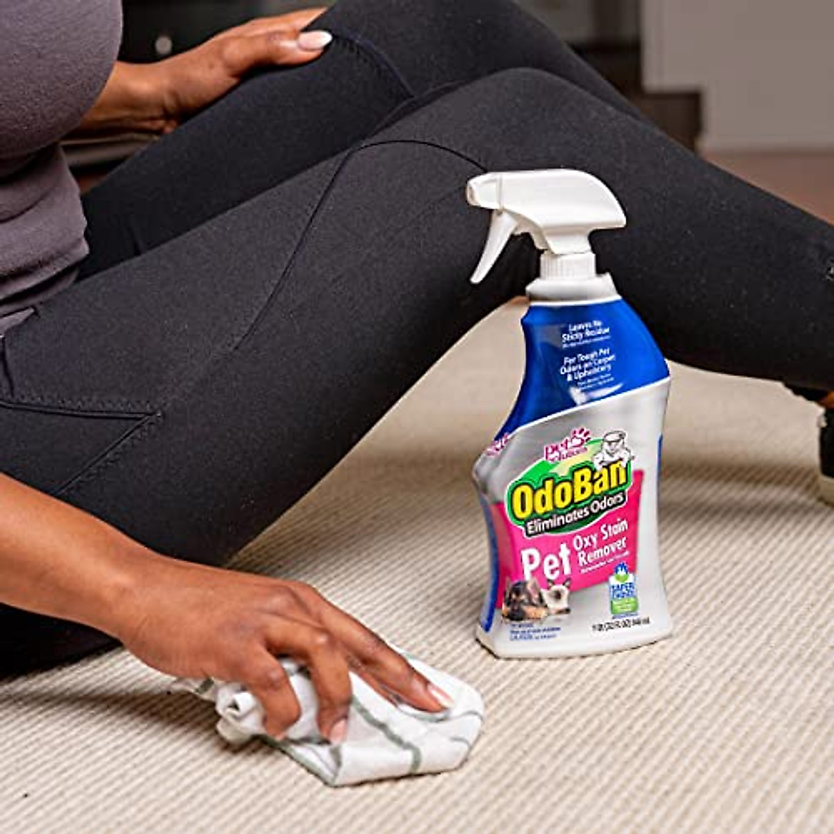 OdoBan Pet Solutions Oxy Stain Remover, Pet Stain Eliminator, 2-Pack, 32 Ounce Spray Each