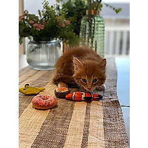 H&K Cat Toy | Clownfish | Plush Cat Toy with Catnip Inside | Funny Realistic Cat Gift | Fun, Durable, and Safe | Huxley & Kent Cat Toys