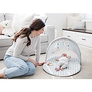 Regalo Baby Basics™ Foldable Infant Play Mat, Includes Hanging Toys, Designer Pad, Bug Net, and UPF 50 Sunshade
