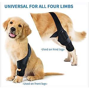 Dog Knee Brace for Torn ACL Hind Leg - Adjustable Leg Support for Hip Dysplasia, Dog Arthritis, Inflammation, Luxating Patella - Comfortable and Durable Dog Leg Braces for Back Leg - Black (Small)
