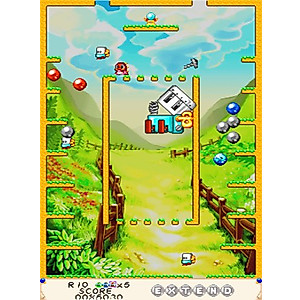 Bubble Bobble: Double Shot - Nintendo DS