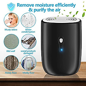 Dehumidifiers for Home,Posdry 27 OZ(800ml) Small Auto Shut off Dehumidifiers with Drain Hose,Portable Ultra Quiet Mini Dehumidifiers for Basement,Bathroom, Bedroom, Garage, RV(260Sq.Ft)