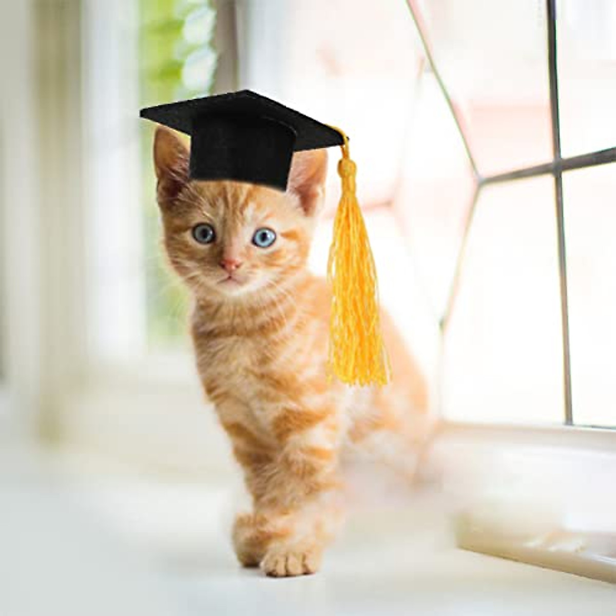 Gatuida 2PCS Pet Grad Hat Black Graduation Hat with Yellow Tassel Pet Costume for Guinea Pigs,Hedgehog,Bird,Turtles,Hamster Small Animal Graduation Costume Apparel for Photo Prop