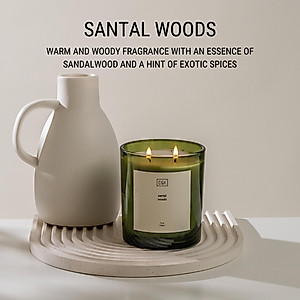 Premium Candle | Santal Woods Christmas Scented Candles for Home | Natural Soy Candles Gifts for Women | Holiday Candles, Nature Collection | Christmas Gift Ideas for Men and Women