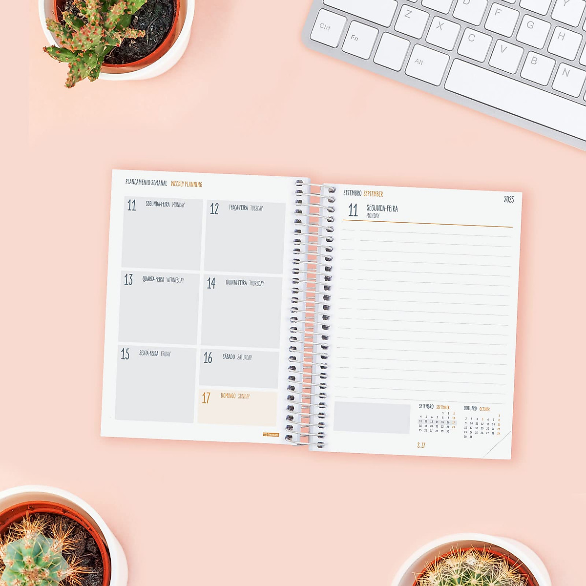 Finocam - Secondary diary 2023 2024 1 day page September 2023 - June 2024 (lesson year) + July and August summarized Tiger Portuguese