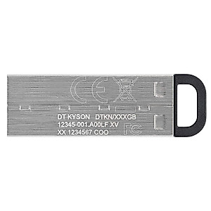 Kingston 64GB Kyson USB 3.2 Gen 1 200MB/s Read Metal Flash Drive (3-pack) (3 Items)