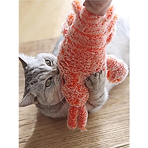 Flopping Lobster Toys for Cats & Small Dogs, Catnip Toys Kitten Toys Cat Toys for Indoor Cats, Interactive Cat Toy with Catnip, Cat Chew & Kicker Toy, USB Rechargeable, Flopping Toy for Dogs