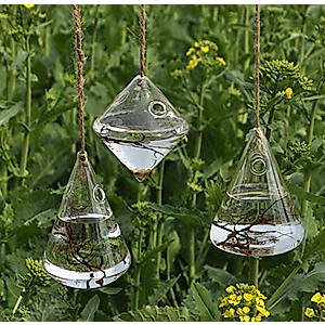 Fashionstorm Indoor Outdoor Glass Hanging Planters Plant Pots Water Plant Containers Flower Pots Glass Terrariums 3 Pieces