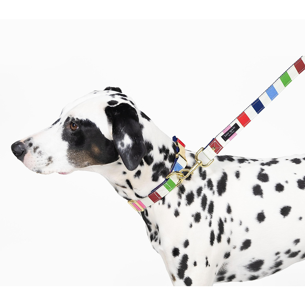 kate spade new york Cute Dog Collar with Gold Metal Details & Plastic Buckle, 15" to 22" Adjustable Dog Collar for Female or Male Dogs, Medium/Large, Adventure Stripe