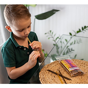 Honey Sticks Flavored (Pack of 50) - Raw Honey Straw Variety Pack for Tea, Coffee & Healthy Snack for Kids & Adults - Single Serve Pure American Honey Sticks by Bee Silly Honey