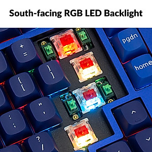 Keychron Q1 RGB Wired Custom Mechanical Keyboard, 75% Layout QMK/VIA Programmable Macro with Hot-swappable Gateron G Pro Red Switch Double Gasket Compatible with Mac Windows Linux (Blue) -Version 2