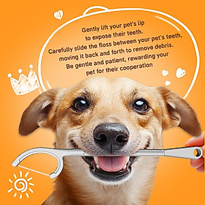 Dr. Emma Dog Tooth Brush Picks Pet Dental Floss for Teeth Cleaning Plaque Remover for Teeth Dental Care for Small to Large Dogs, Cats