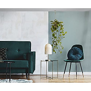 National Hardware N275-533 Extended Ceiling Hook, 5", Brushed Gold